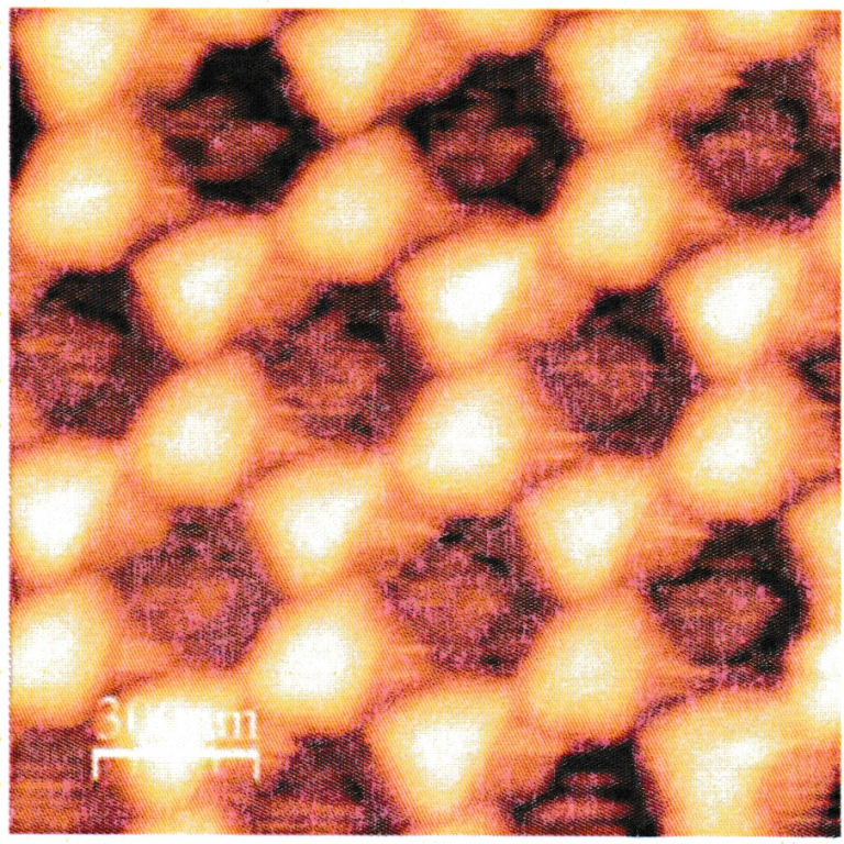 2D – Top View – LaboratoriumSPM